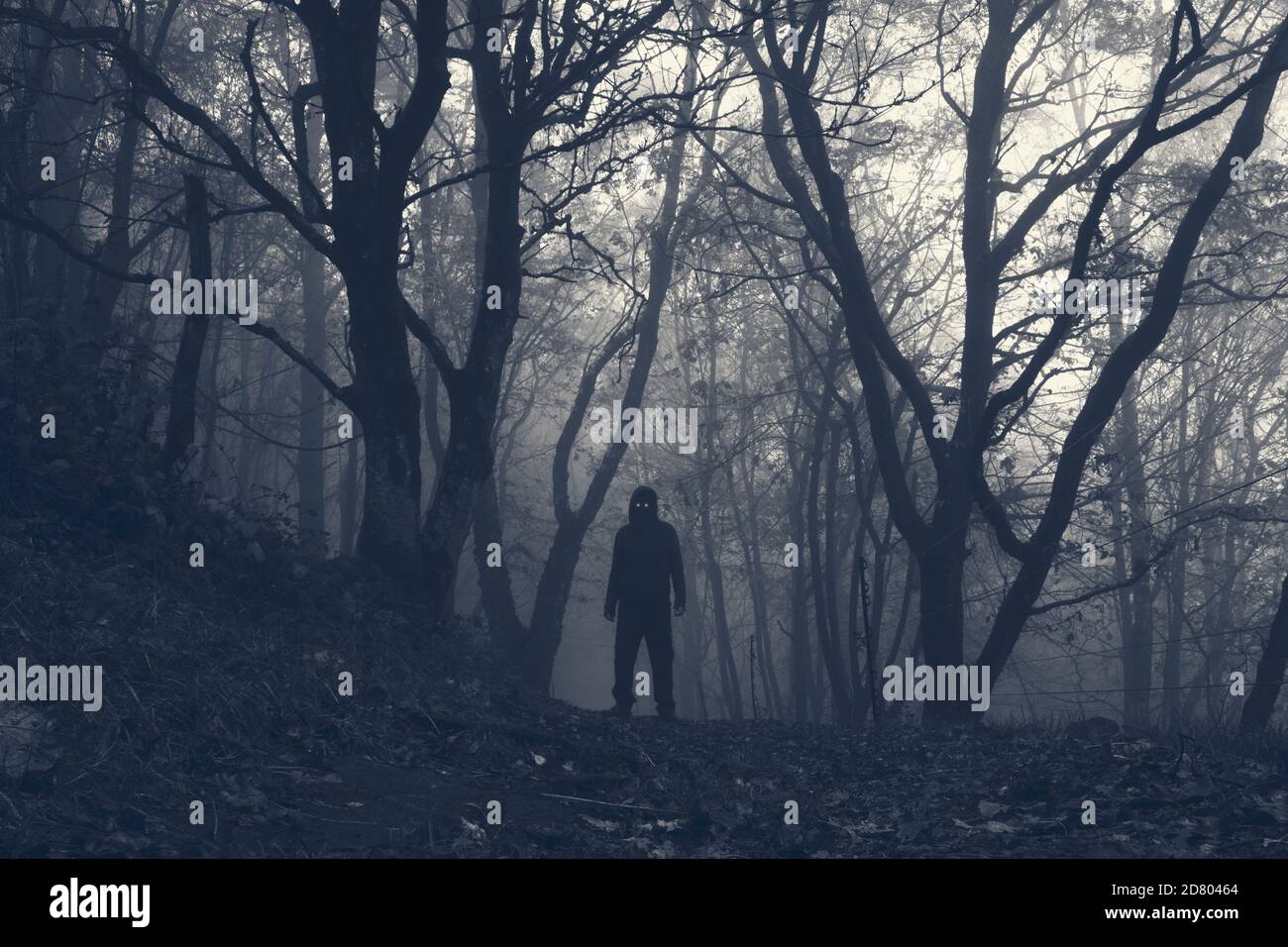 Hooded figure in woods hi-res stock photography and images - Alamy