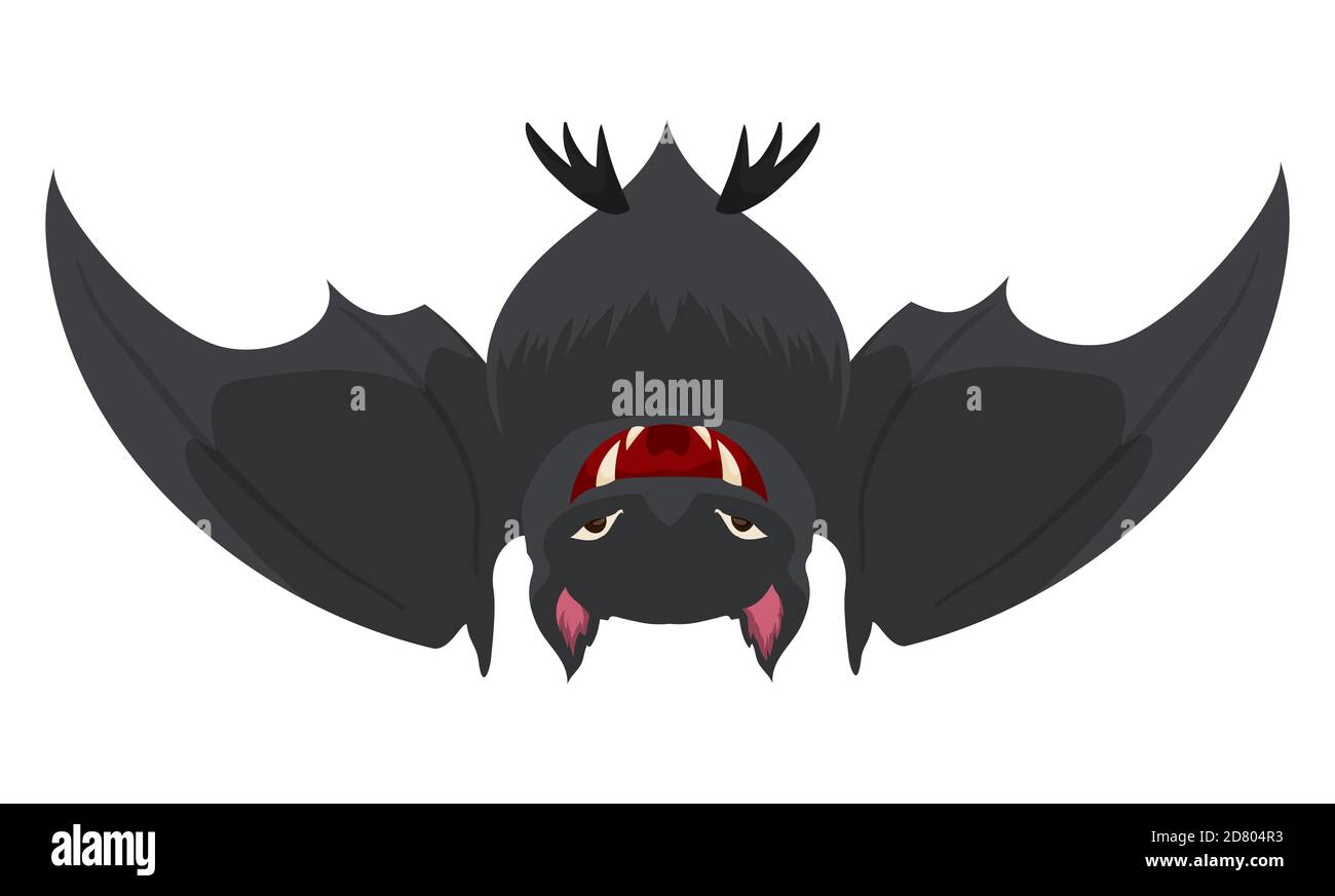Hanged vampire bat with gray fur and spooky smile, isolated over white ...