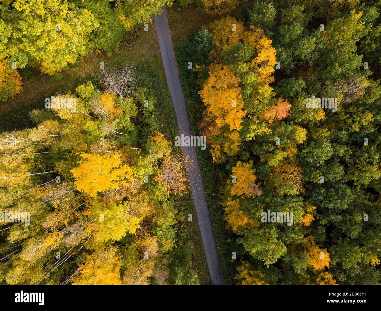 Aerial view of autumn forest. Fall landscape with red, yellow and green ...