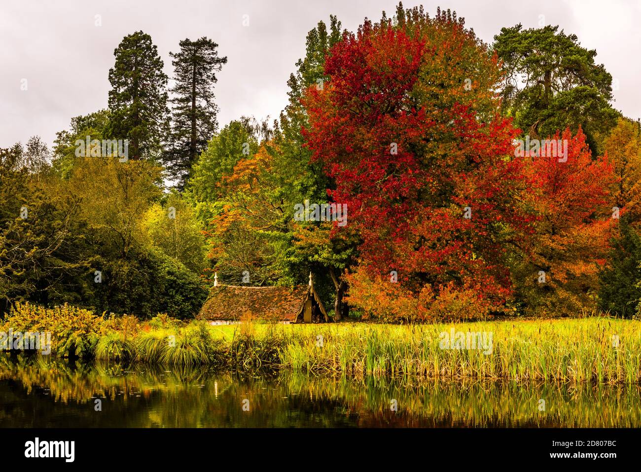 Red autumn colours of the Liquidambar at Scotney Castle, Kent, UK Stock ...