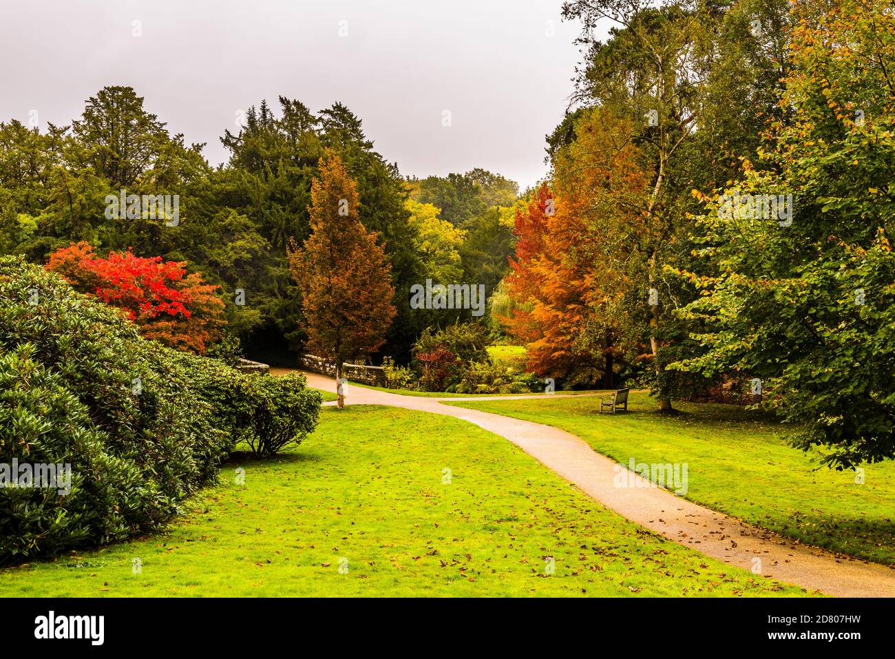 Pathway to autumn colours at Scotney Castle, Kent, UK Stock Photo - Alamy