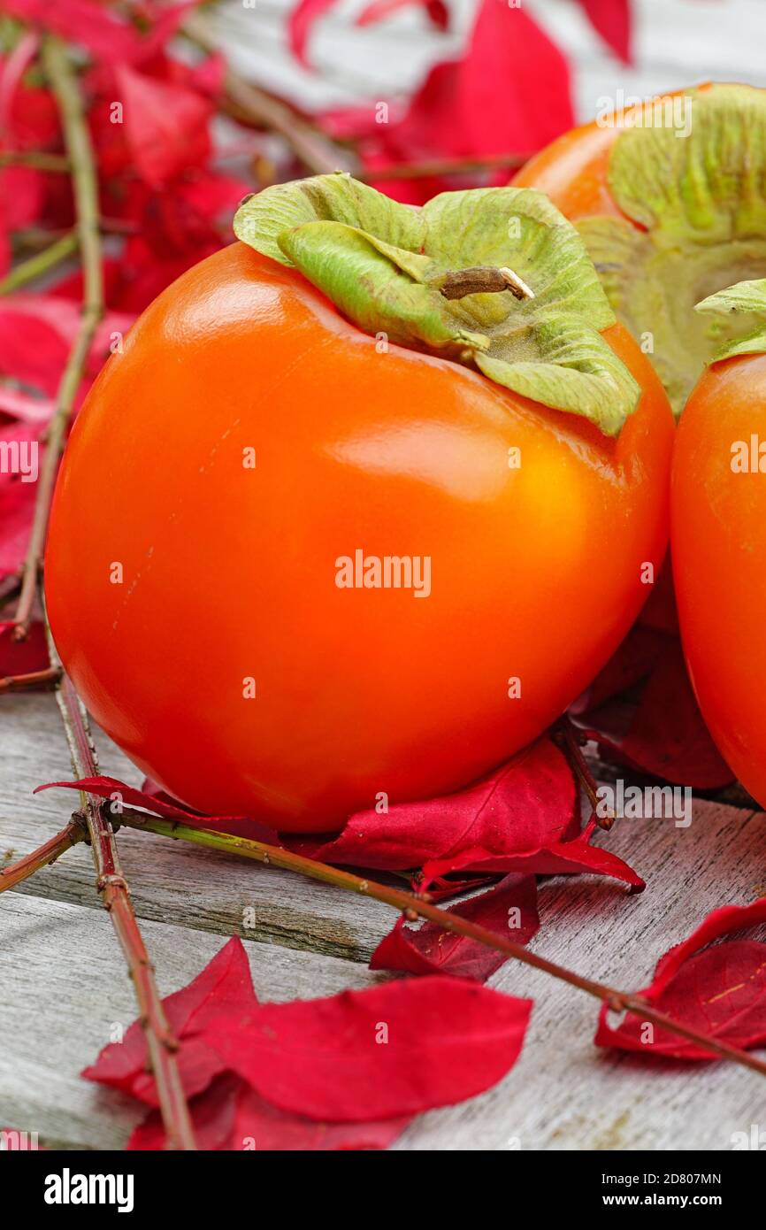 Hachiya persimmon fruit hi-res stock photography and images - Alamy