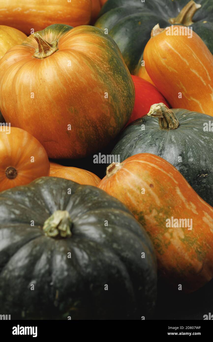 Many multicolor pumpkins, autumn seasonal decorative background Stock ...