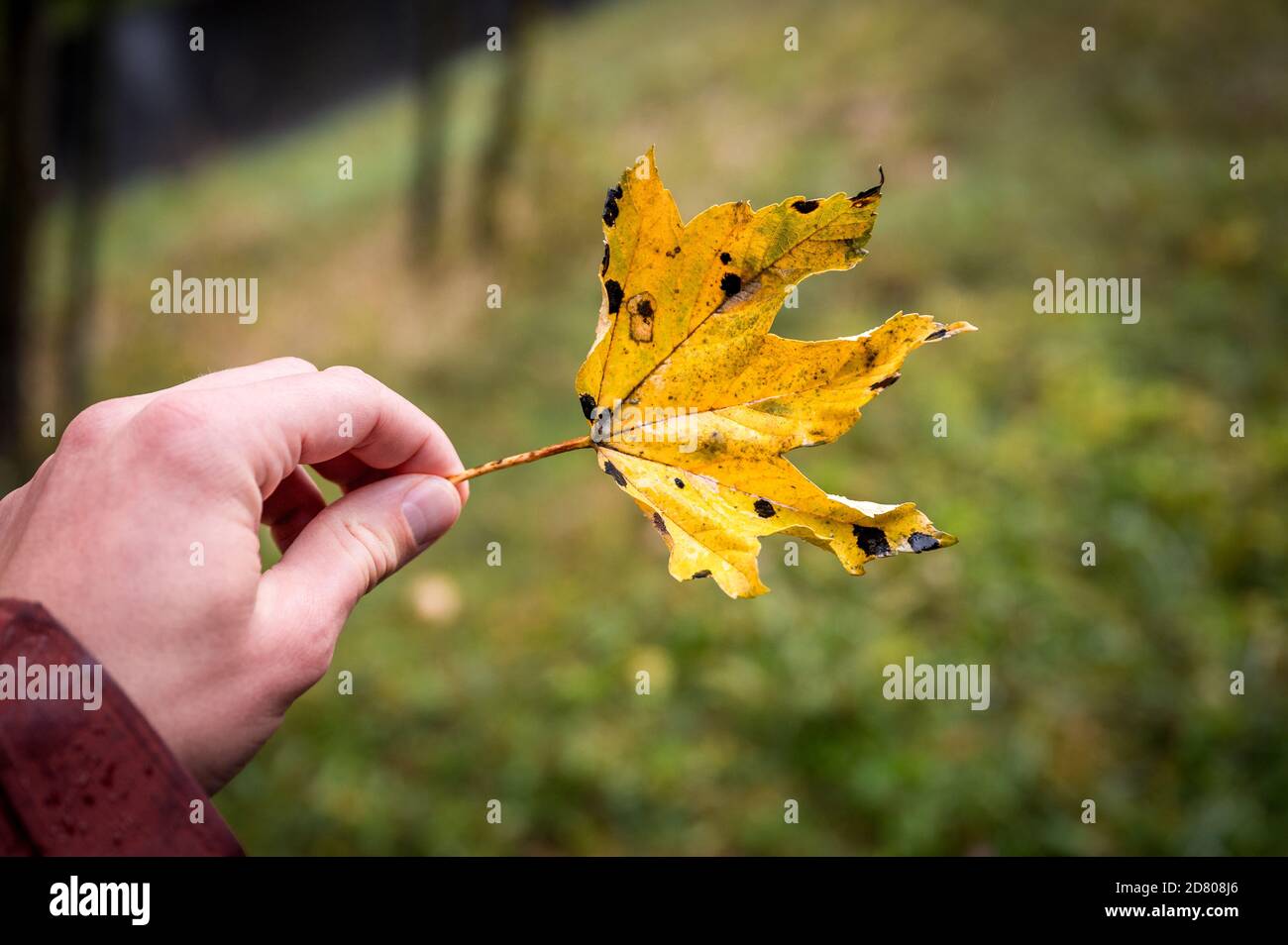 Male upper part body hi-res stock photography and images - Alamy