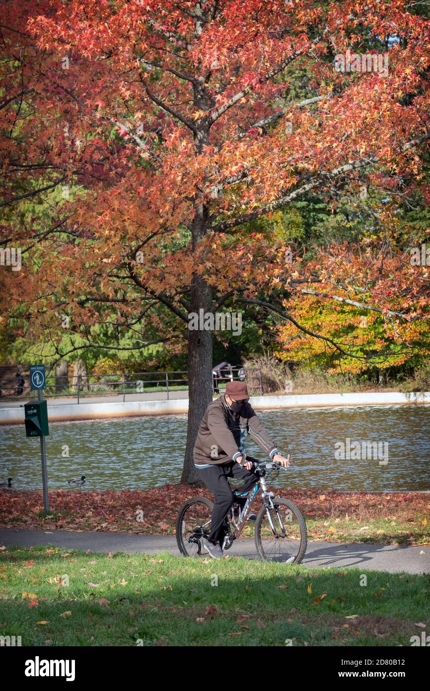 FALL COLORS. A cyclists wearing a mask rides around the lake in Kissena ...