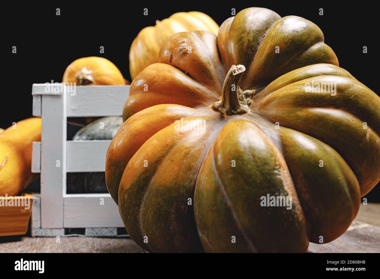 Close up of big pumpkin with tail Stock Photo - Alamy