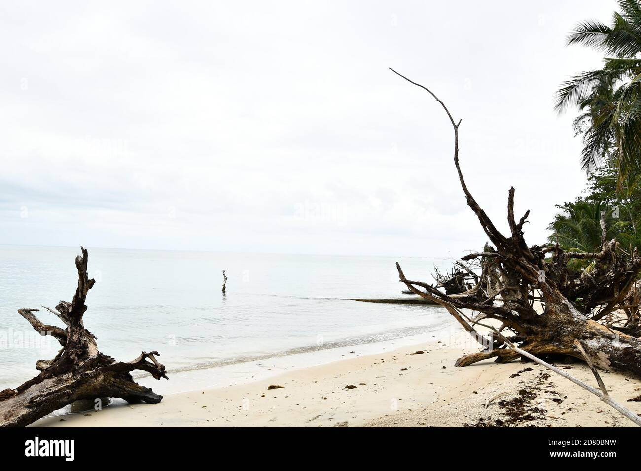 tropical beach and sea, in costa rica central america Stock Photo - Alamy