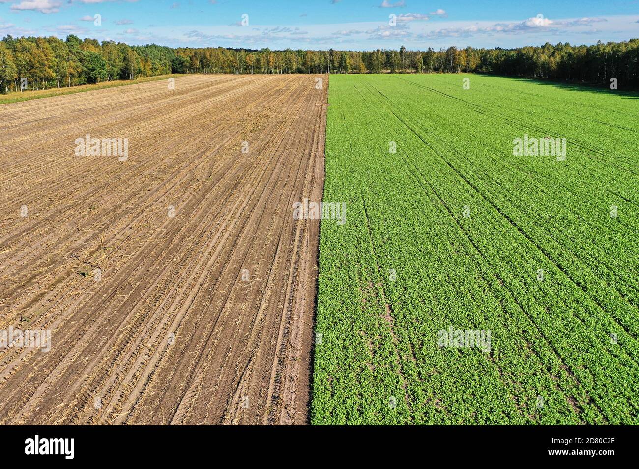Aerial view of a field, half of which is uncultivated and covered with ...