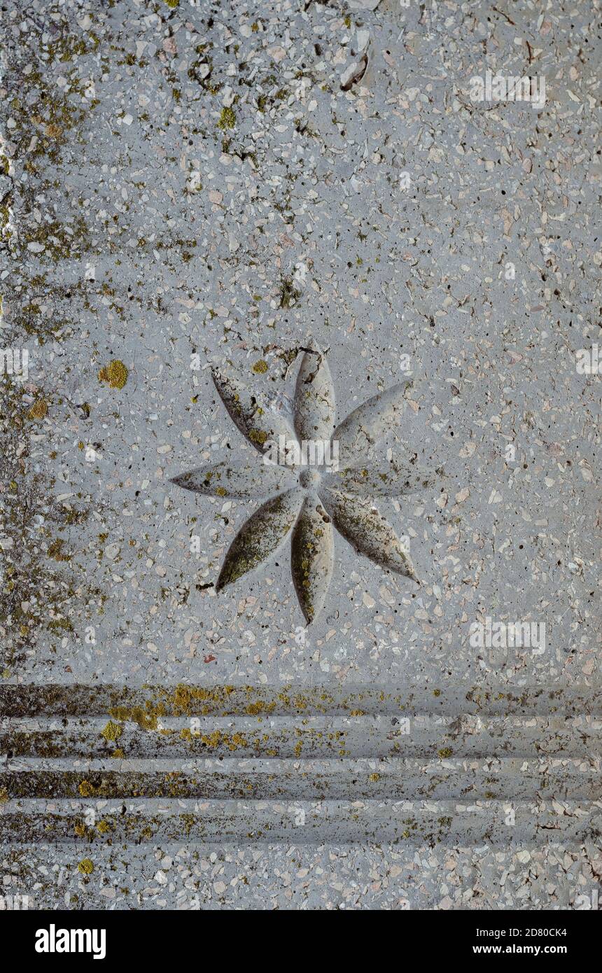 Grey stone slab with paralleled lines and the image of a flower ...