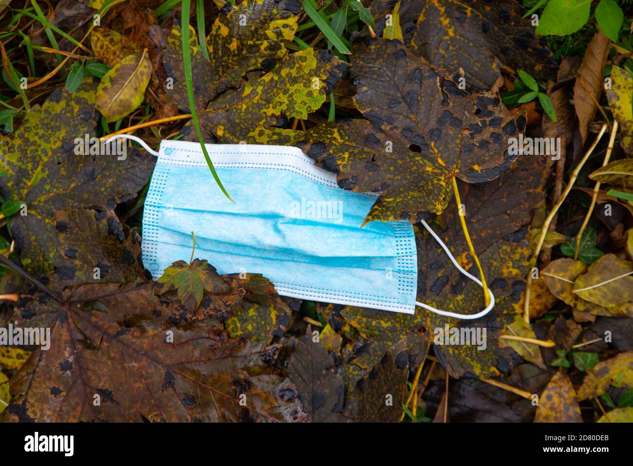 Mask thrown along a road and in nature. Pollution. Slag and plastics ...