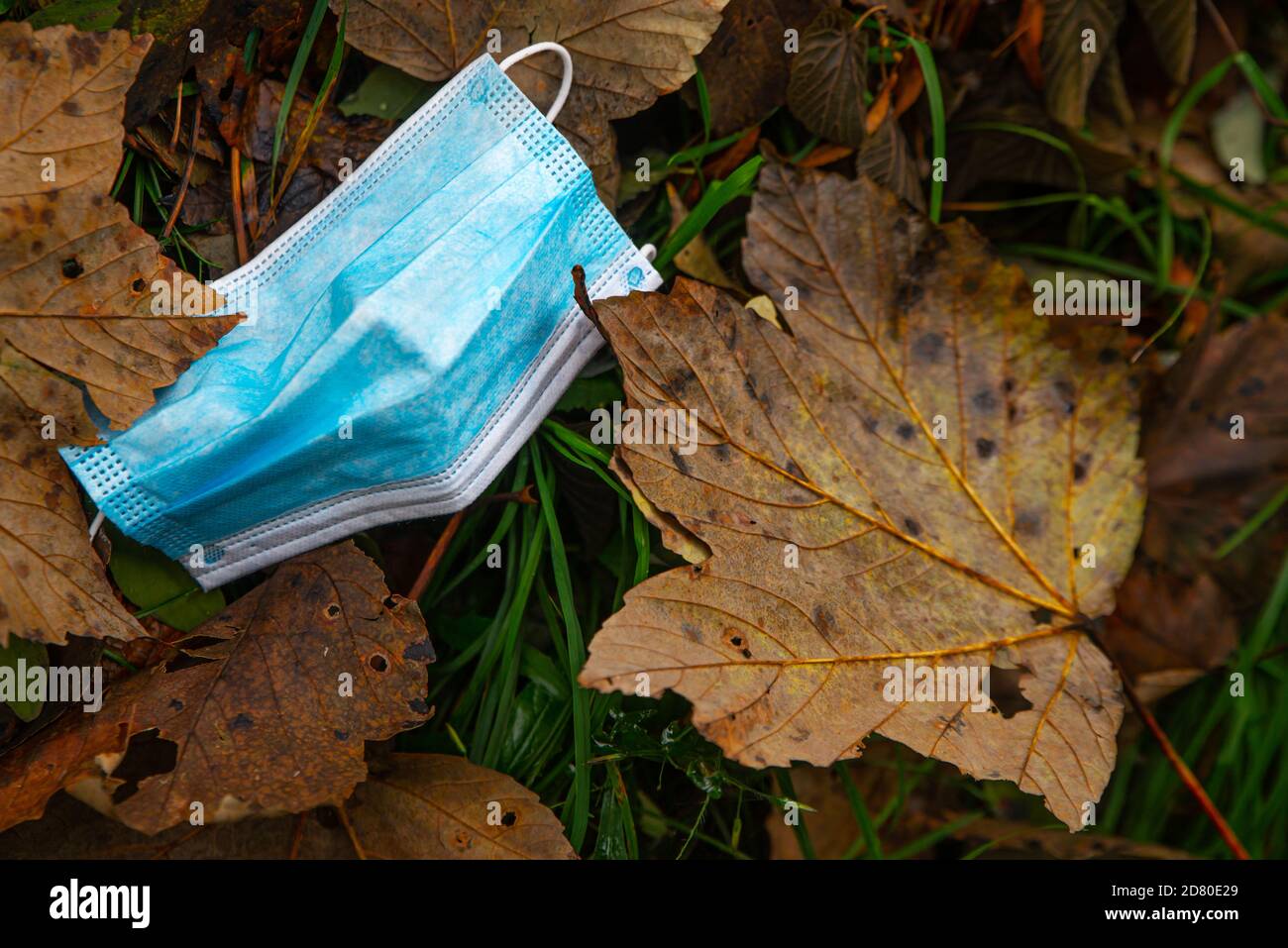 Mask thrown along a road and in nature. Pollution. Slag and plastics ...