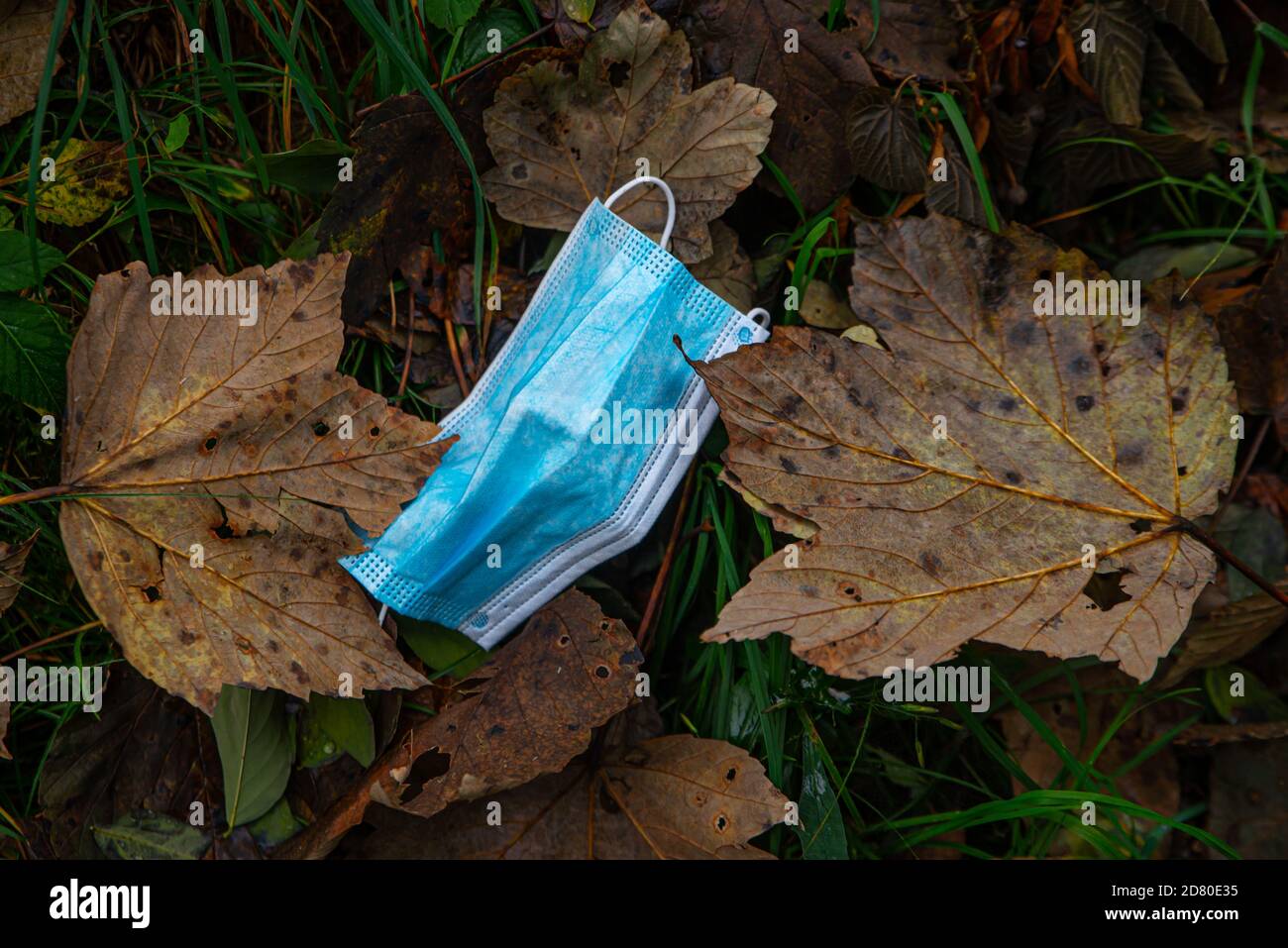 Mask thrown along a road and in nature. Pollution. Slag and plastics ...