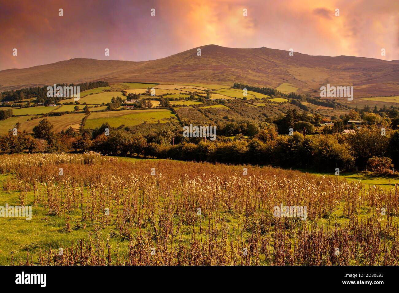 Comeragh Mountains in County Waterford in the setting sun Stock Photo ...