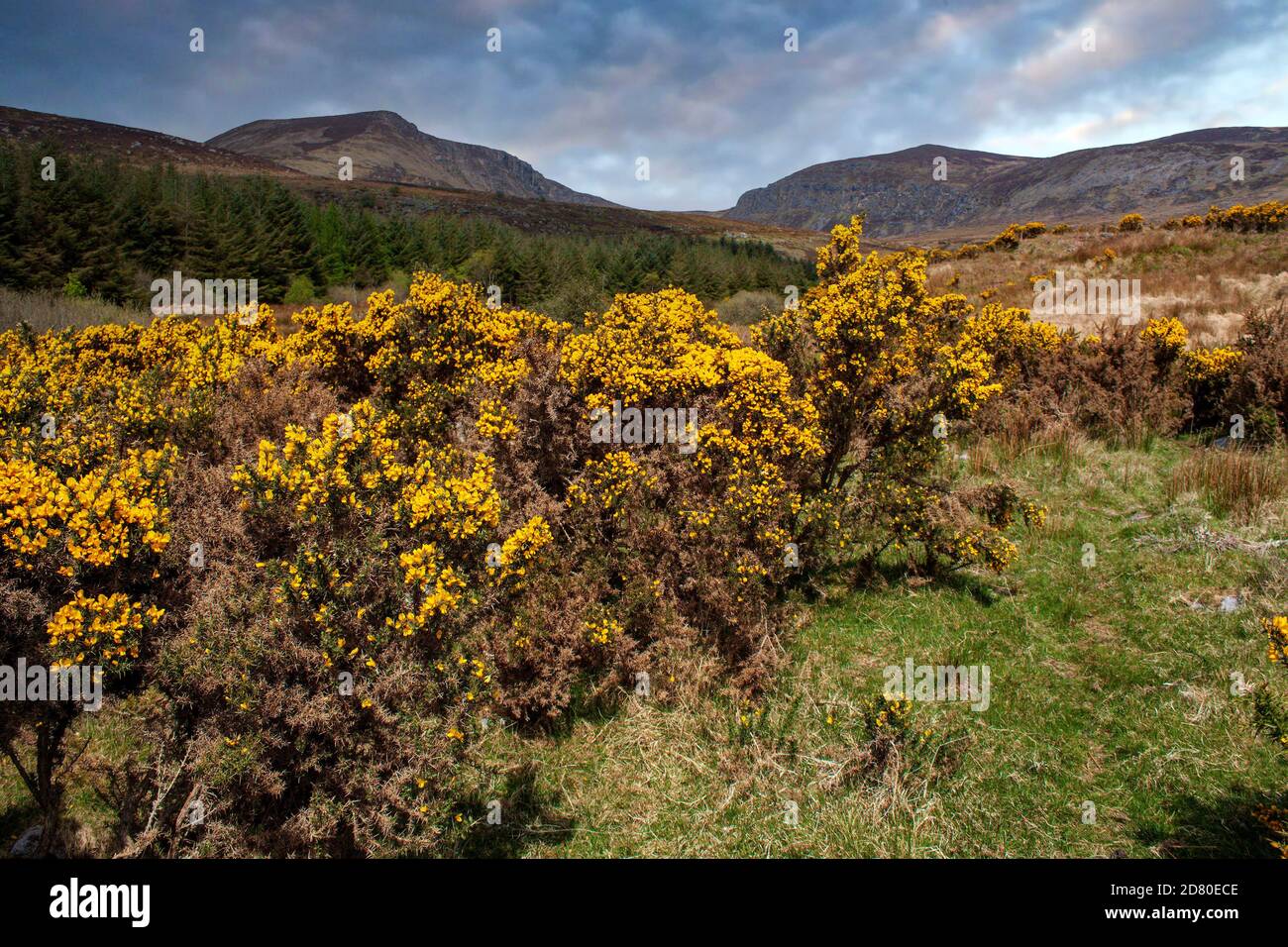 Beautiful vista of Mahon Valley in Comeragh Mountains.County Waterford ...