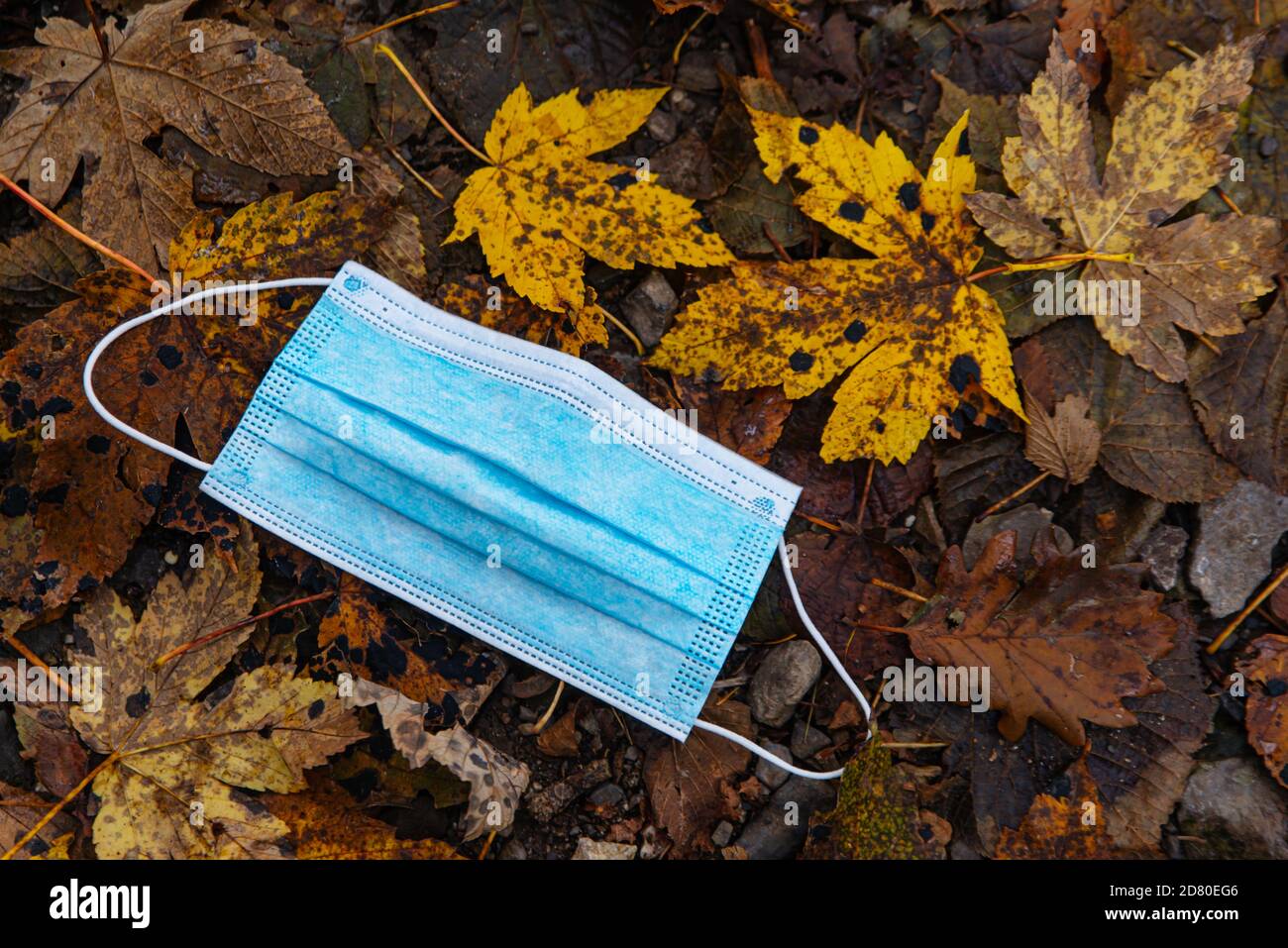 Mask thrown along a road and in nature. Pollution. Slag and plastics ...