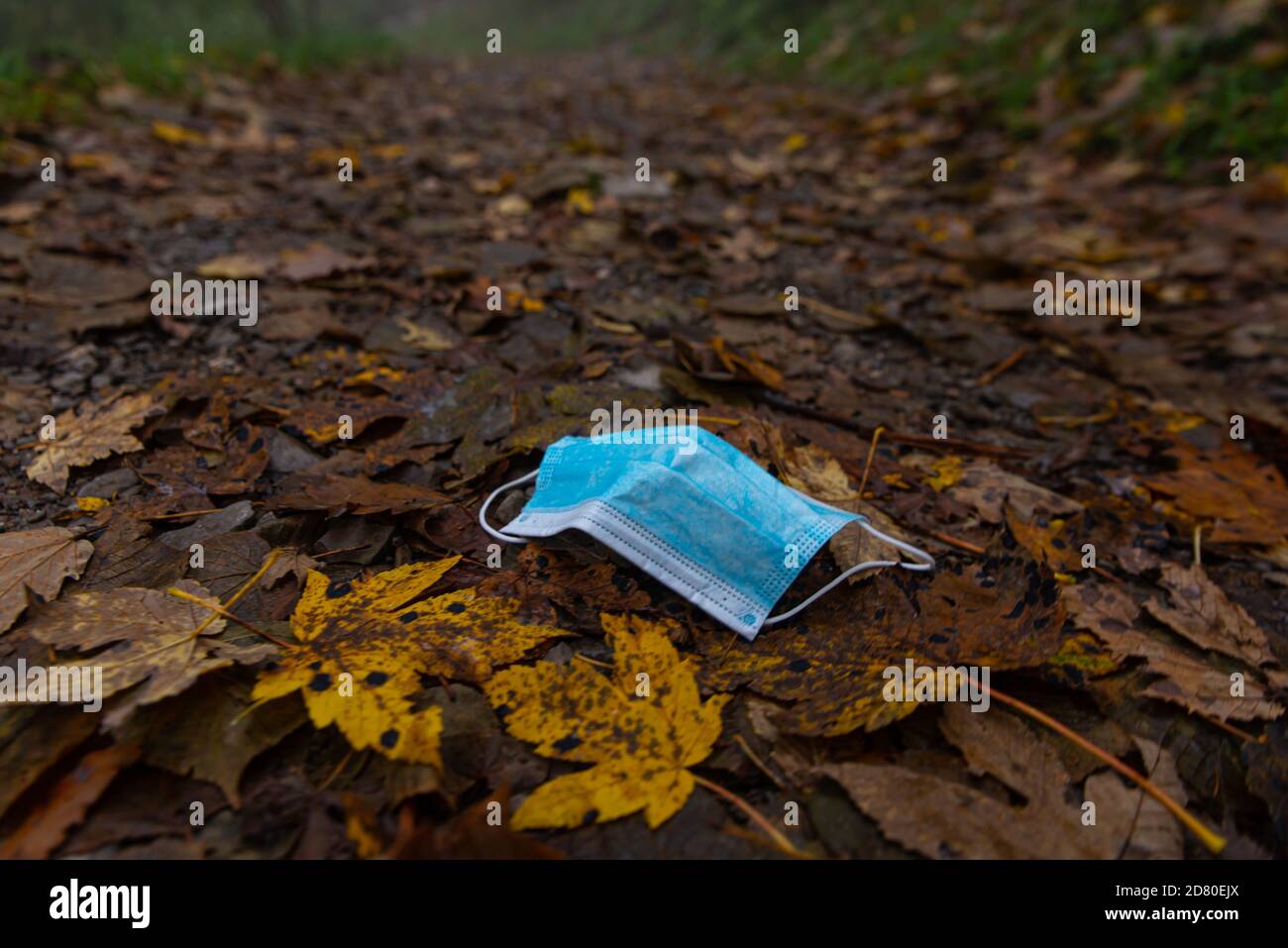 Mask thrown along a road and in nature. Pollution. Slag and plastics ...