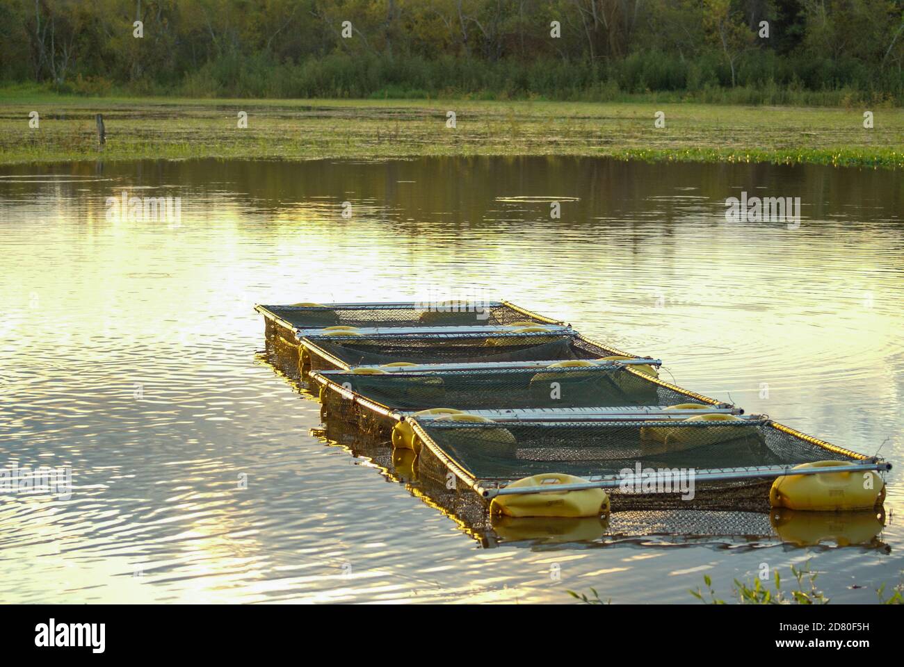 Commercial fish pond hi-res stock photography and images - Alamy