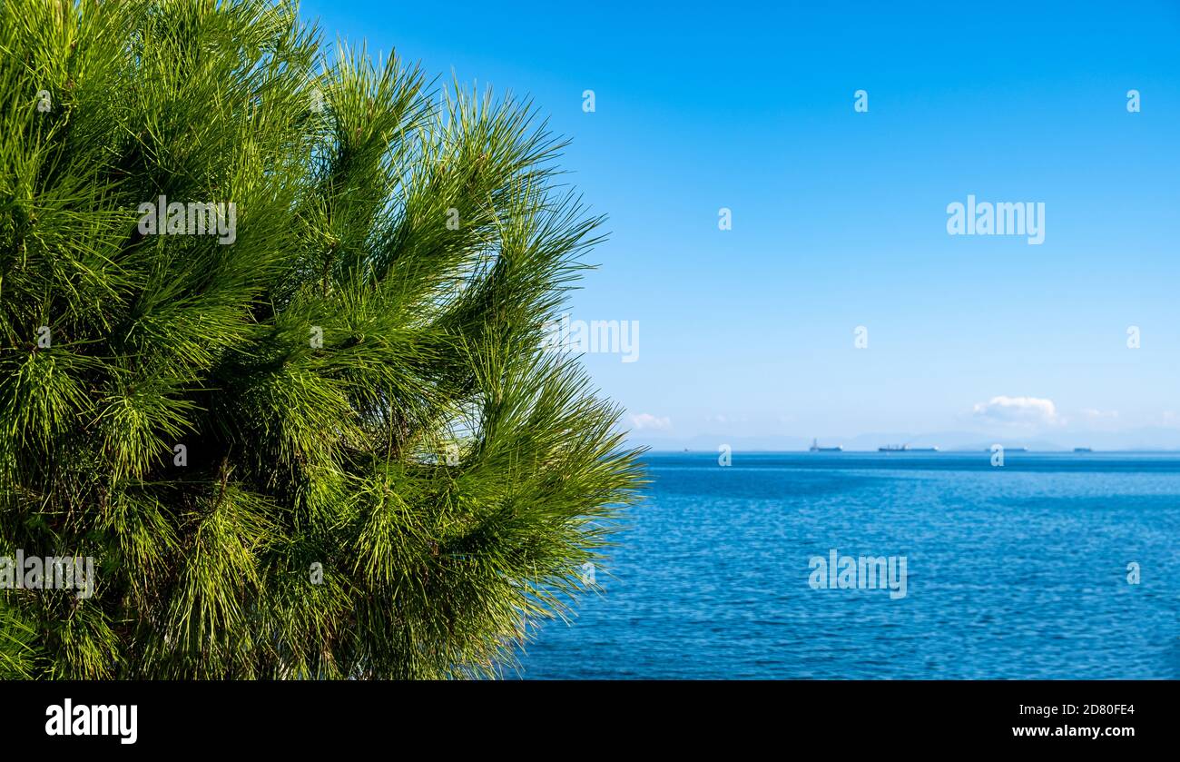 Greek cargo ships hi-res stock photography and images - Alamy