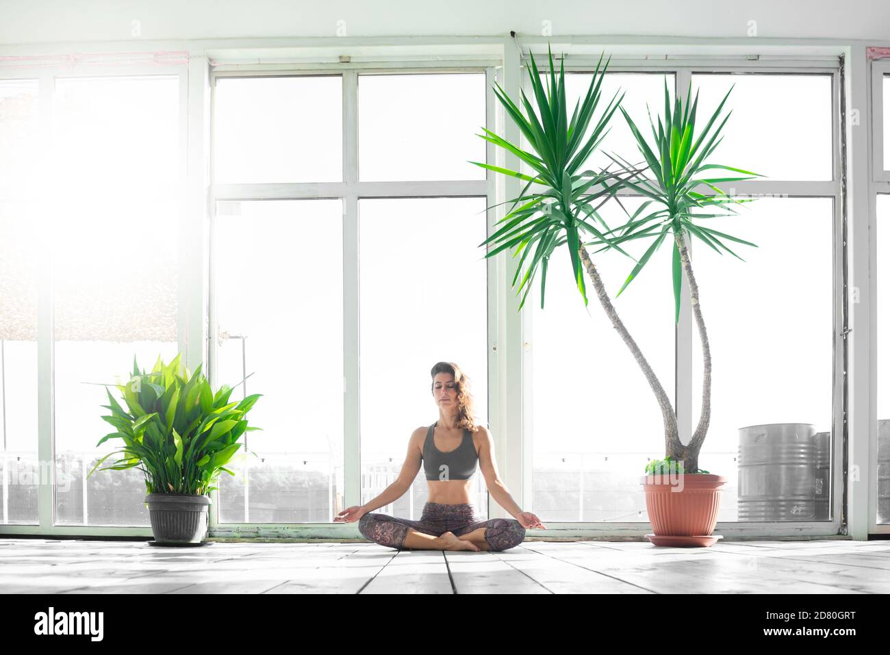 Serene morning yoga practice hi-res stock photography and images - Alamy