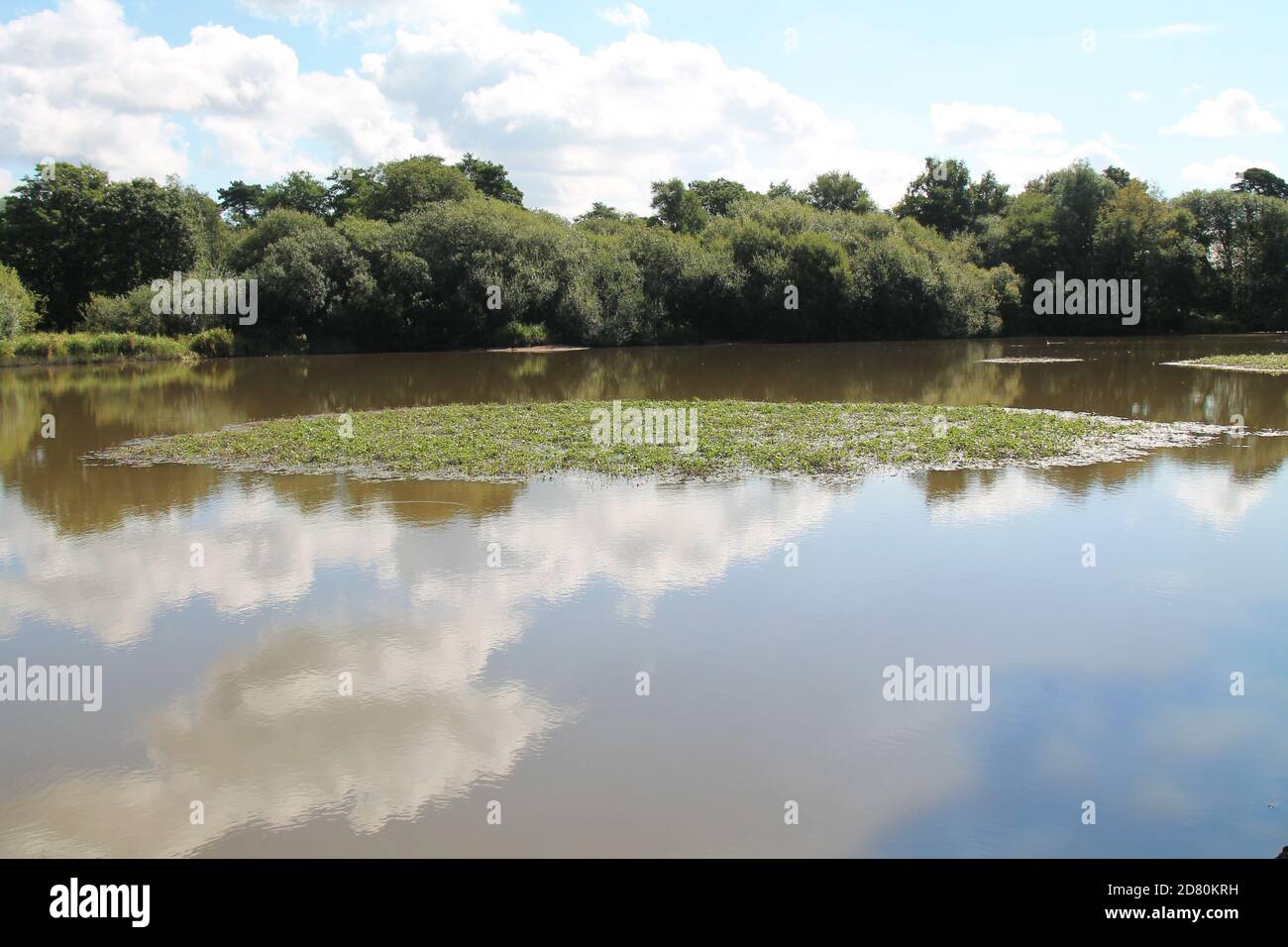 A Quiet Lake with a Scrape Island for Bird Wildlife Stock Photo - Alamy