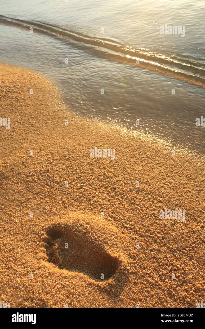 Texture background Footprints of human feet on the sand near the water ...