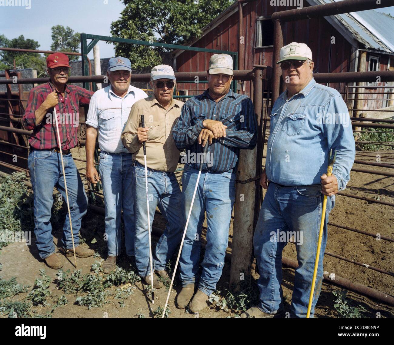 Cattle Ranch Handlers, Faith 2002 Stock Photo - Alamy