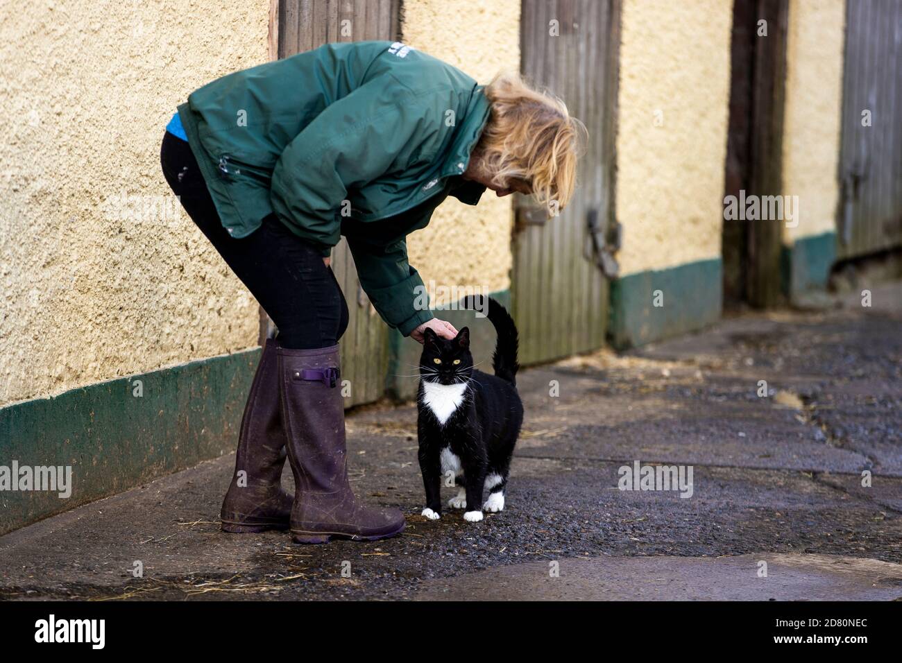 Lyn Friel, founder of the Crosskennan Lane Animal Sanctuary in Antrim ...