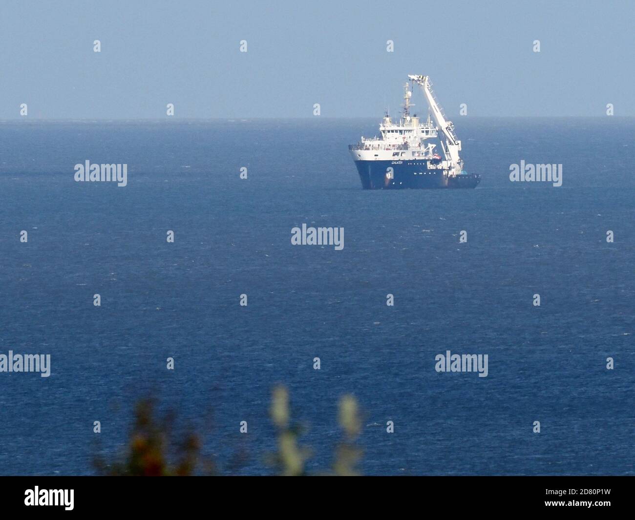 Thv galatea hi-res stock photography and images - Alamy