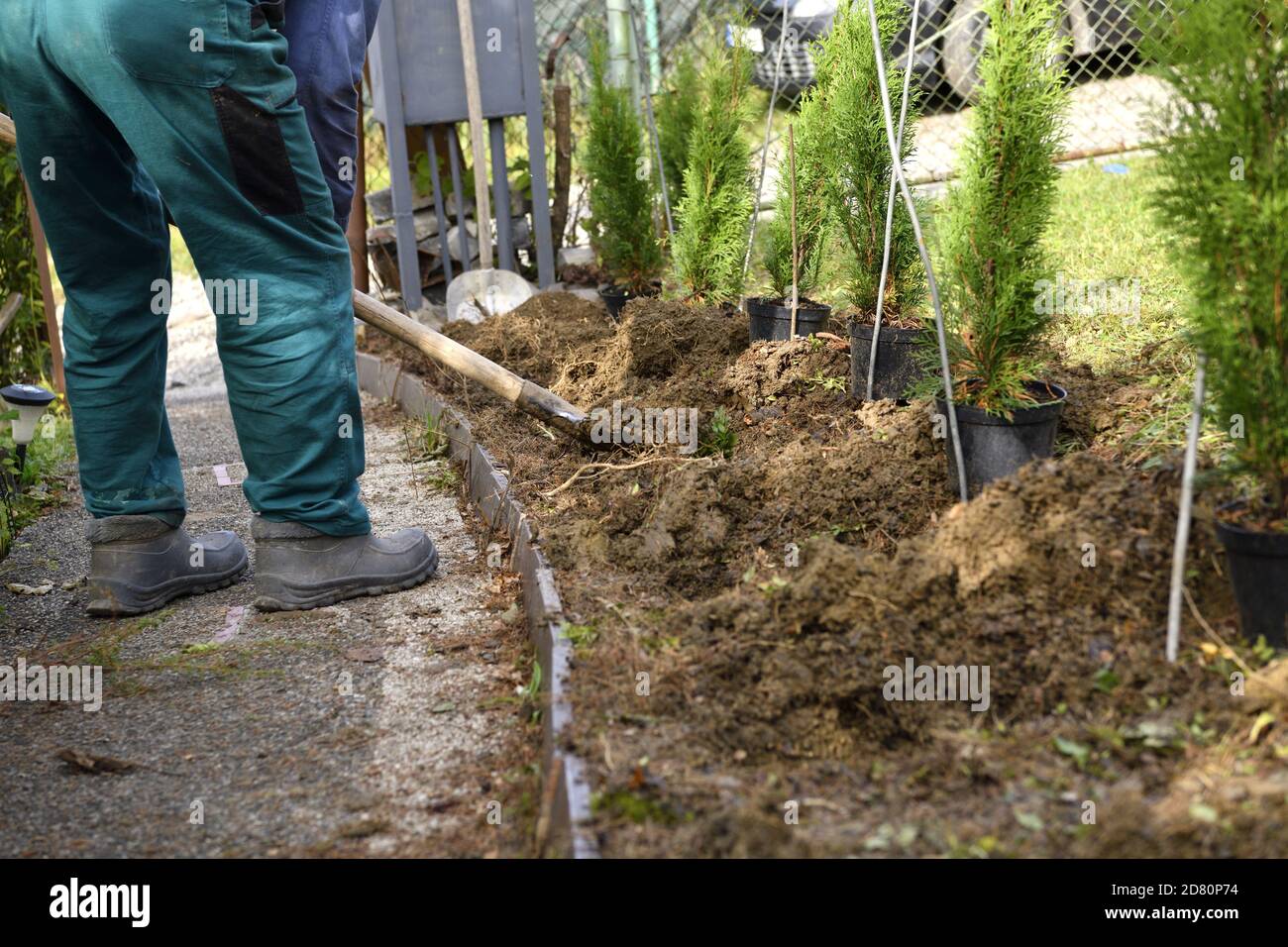 Tree spade planting wood hi-res stock photography and images - Alamy