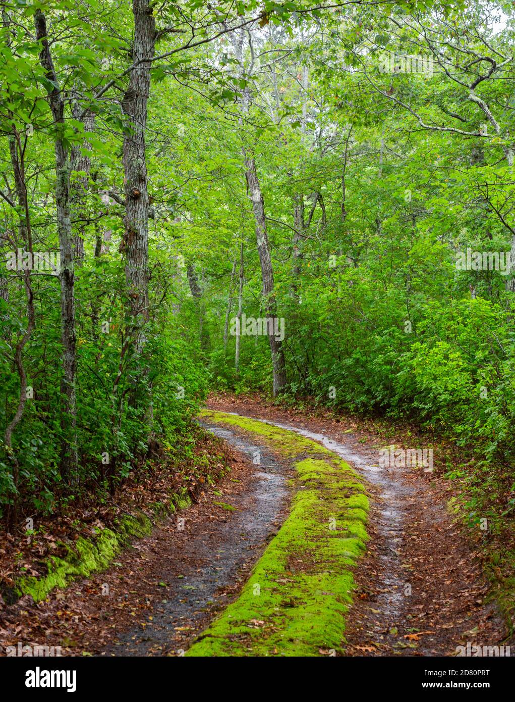 Winding pathway hi-res stock photography and images - Alamy
