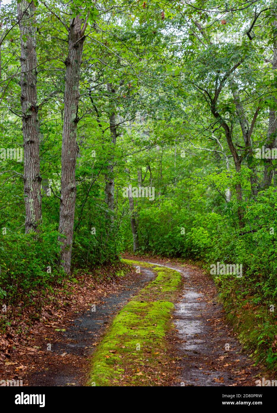Winding pathway hi-res stock photography and images - Alamy