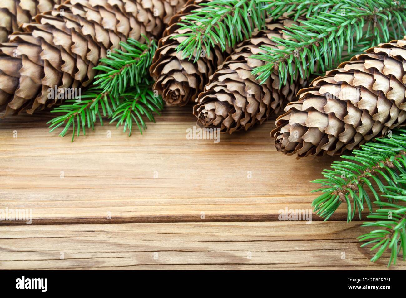 Cone picker hi-res stock photography and images - Alamy