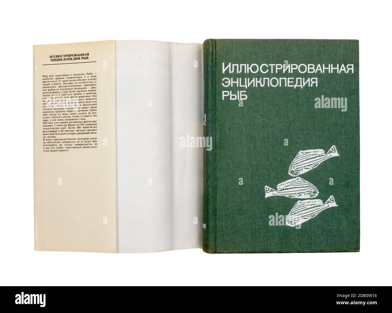 Illustrated Encyclopedia Of Fish High Resolution Stock Photography and ...