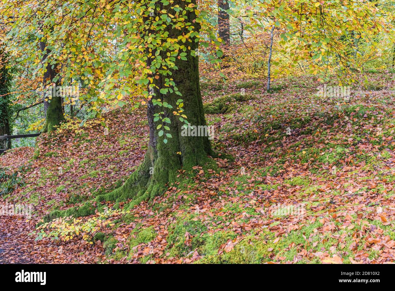 Pictorial lake district hi-res stock photography and images - Alamy