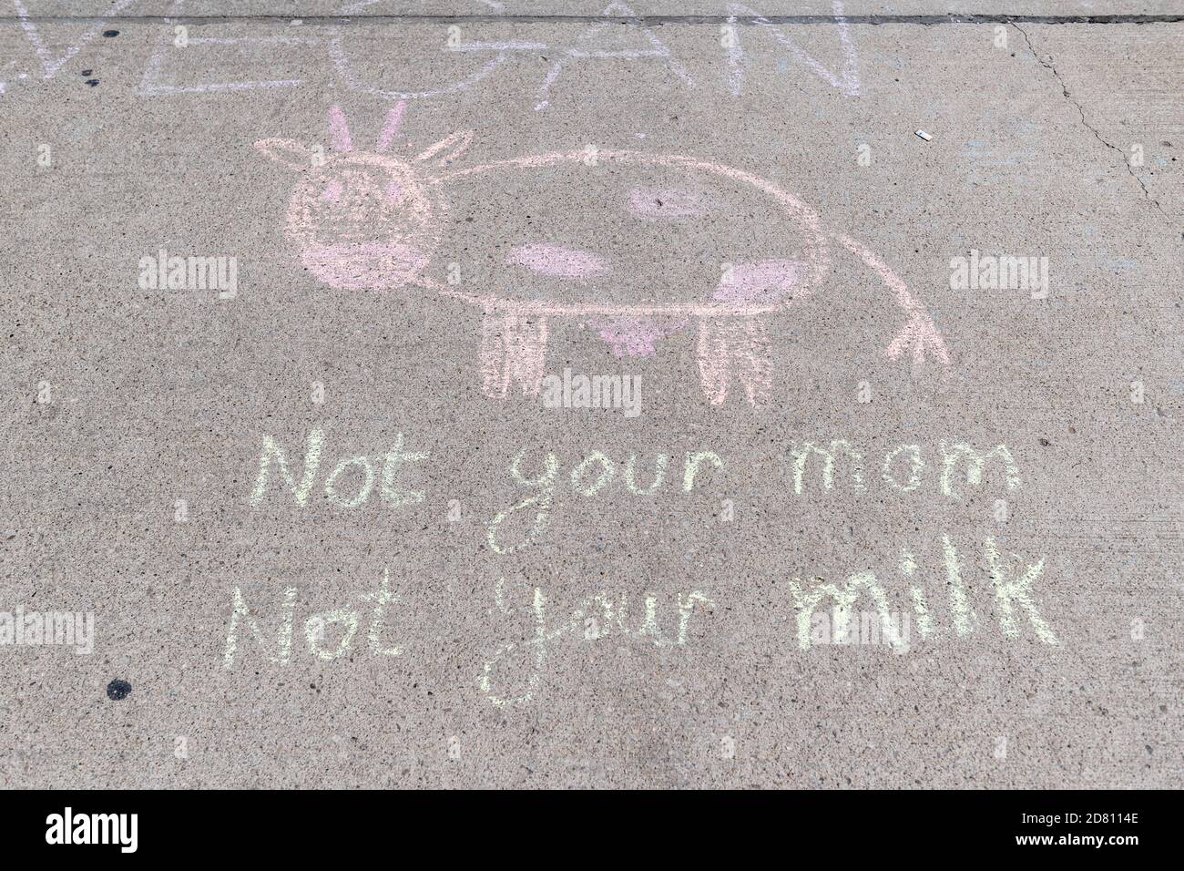 Vegan protest signs hi-res stock photography and images - Alamy