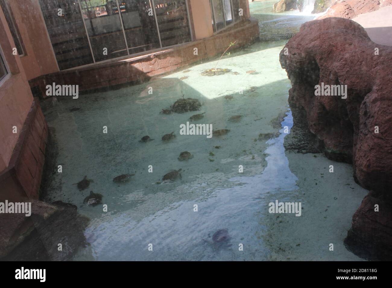 Beautiful scene of ocean, colorful houses and a hotel in Nassau ...