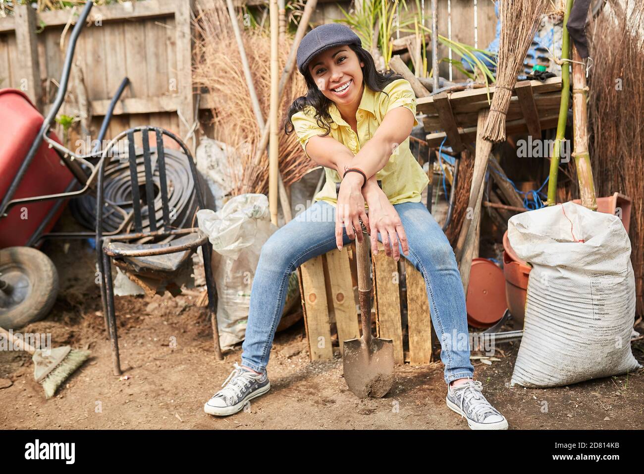 Houseplant break hi-res stock photography and images - Alamy