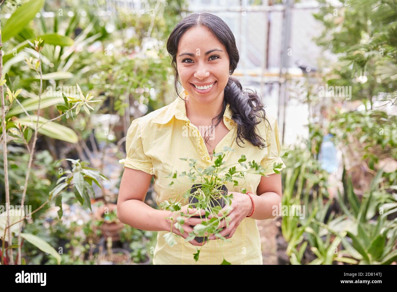 Young woman doing garden work Stock Photo - Alamy