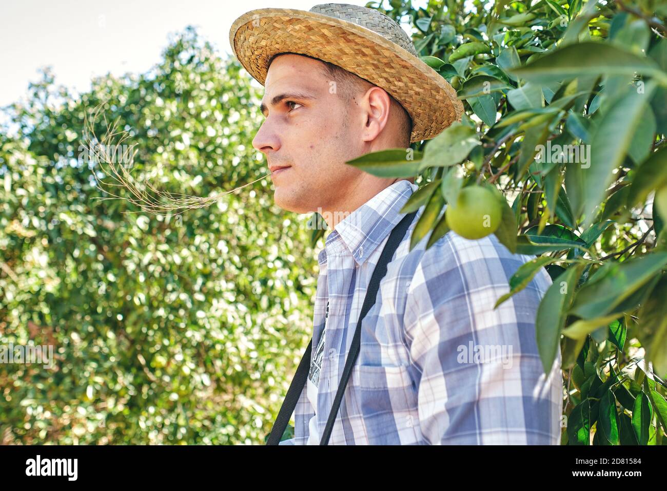 Farmer in field mediterranean hi-res stock photography and images - Alamy