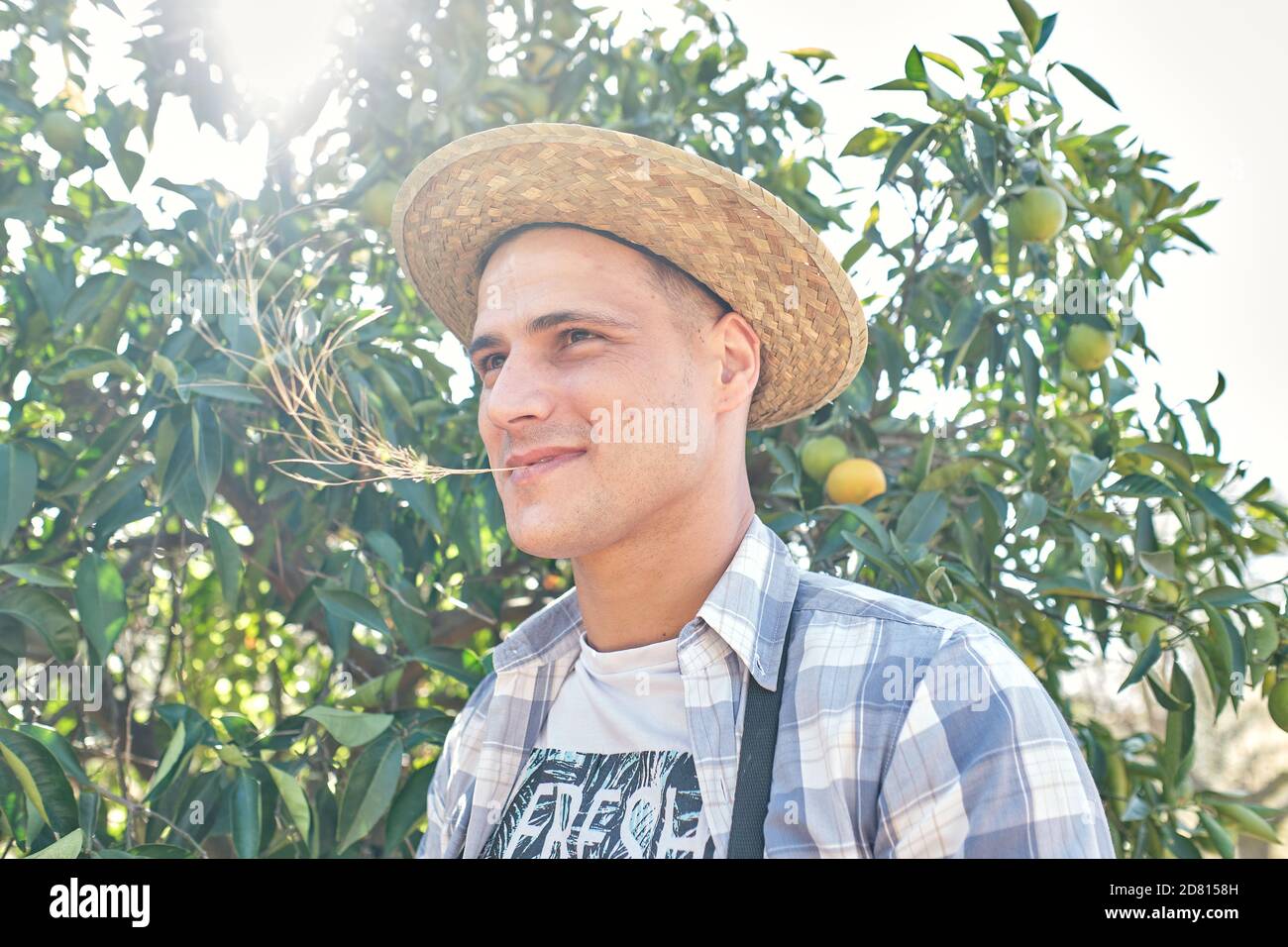 portrait of peasant against the light in the countryside Stock Photo ...