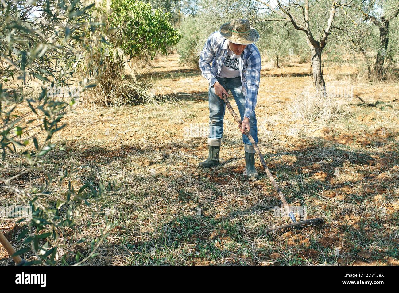 farmer works with his rake to clear his land Stock Photo - Alamy