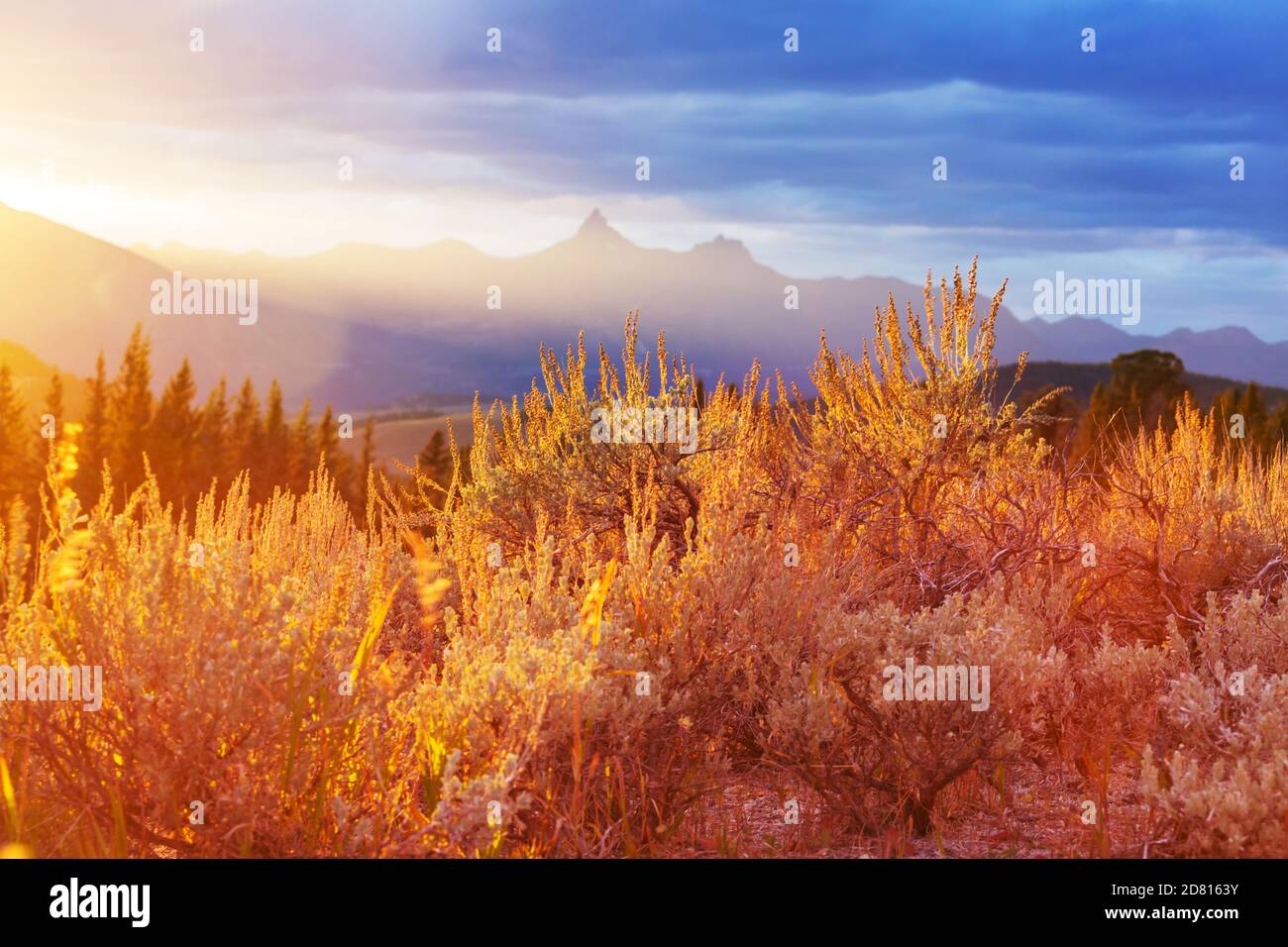 Colorful autumn meadow in mountains. Natural background Stock Photo - Alamy