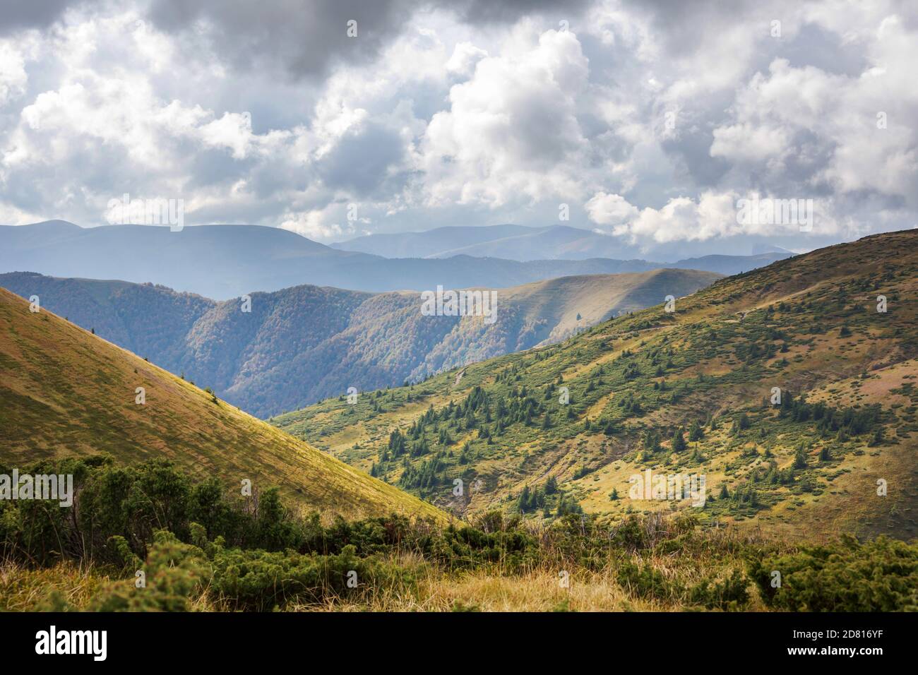 Beautiful natural landscapes in Carpathian mountains Stock Photo - Alamy