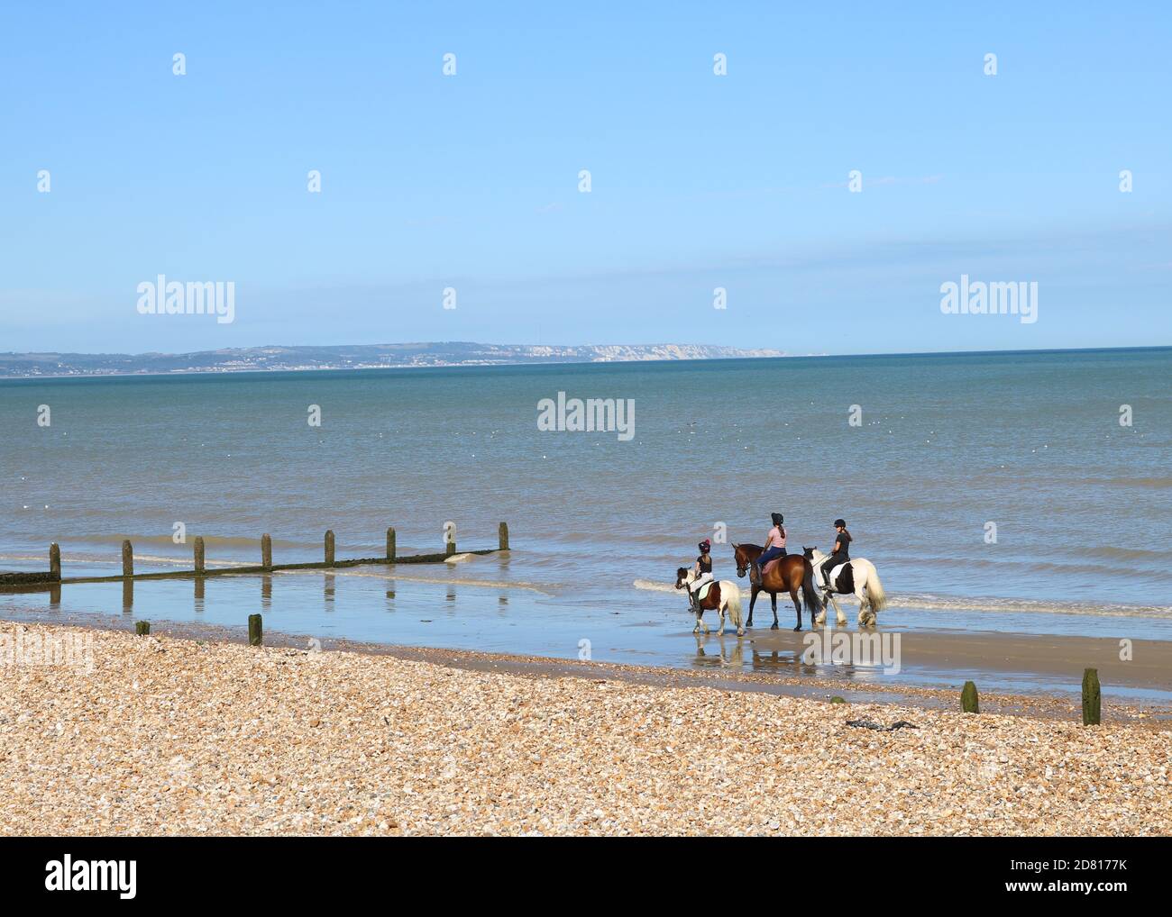 Horses at Littlestone Beach , Kent Stock Photo - Alamy