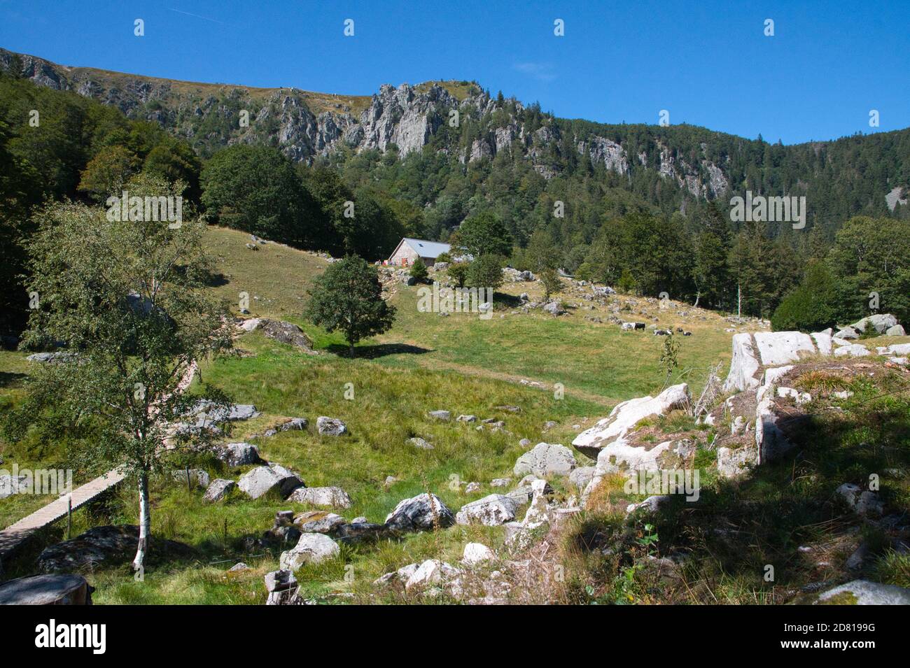beautiful vosges mountains in alsace in france Stock Photo - Alamy