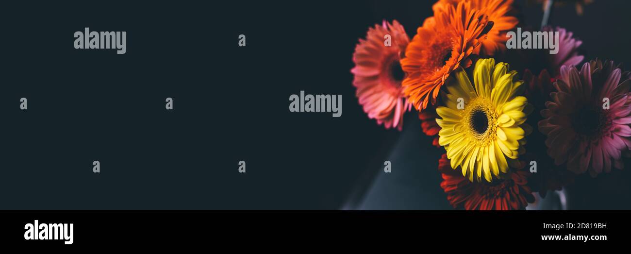 Bouquet of gerberas of different colors on a black background Stock ...