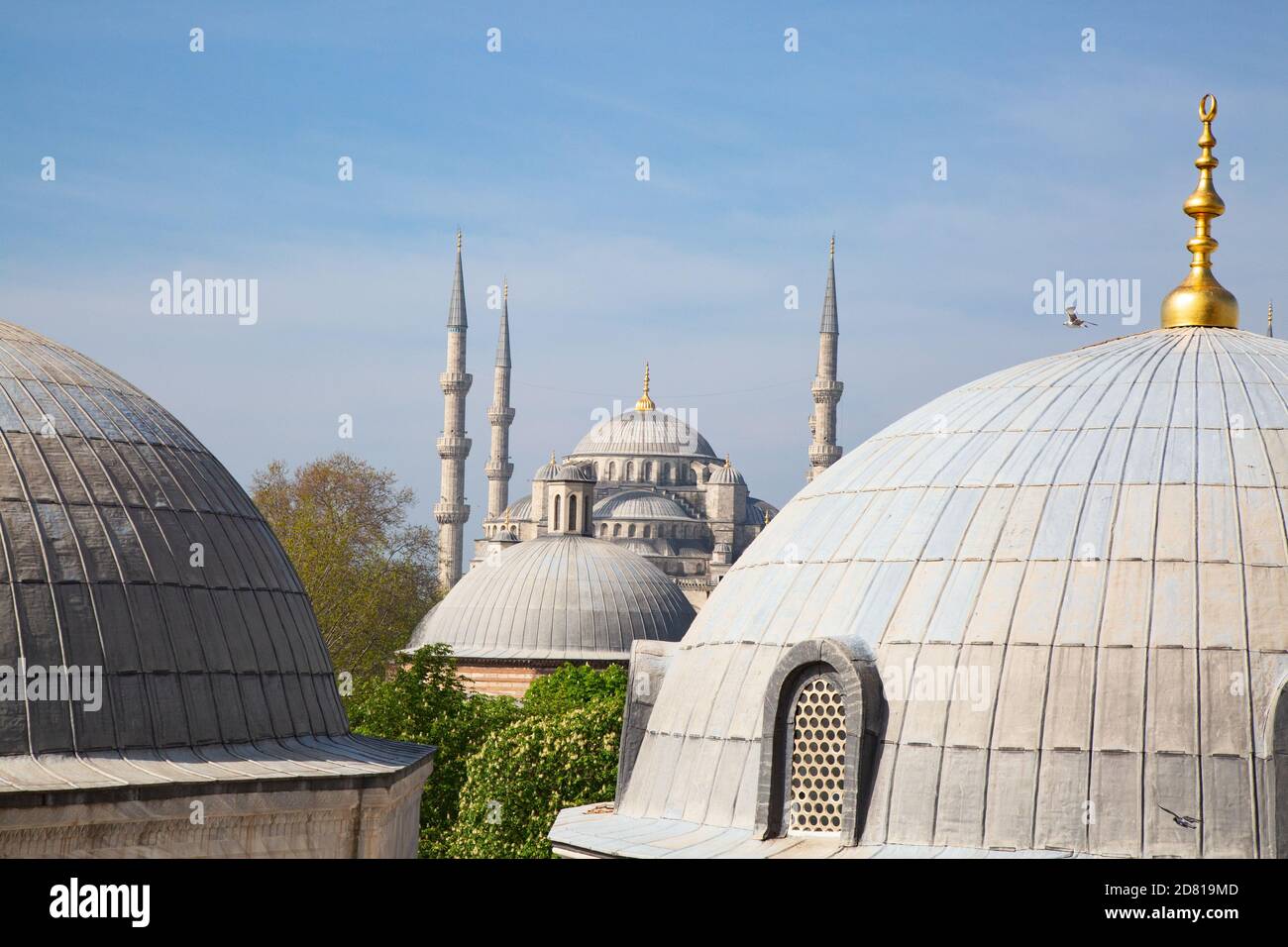Famous "Blue mosque" in Istanbul, Turkey Stock Photo - Alamy