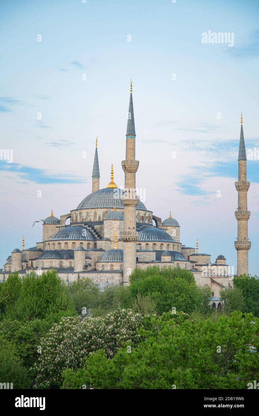 Famous "Blue mosque" in Istanbul, Turkey Stock Photo - Alamy