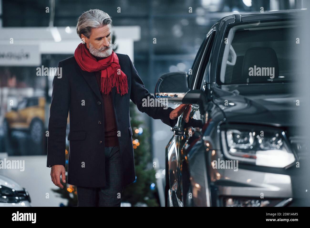 Fashionable old man with grey hair and mustache looking for a new car ...