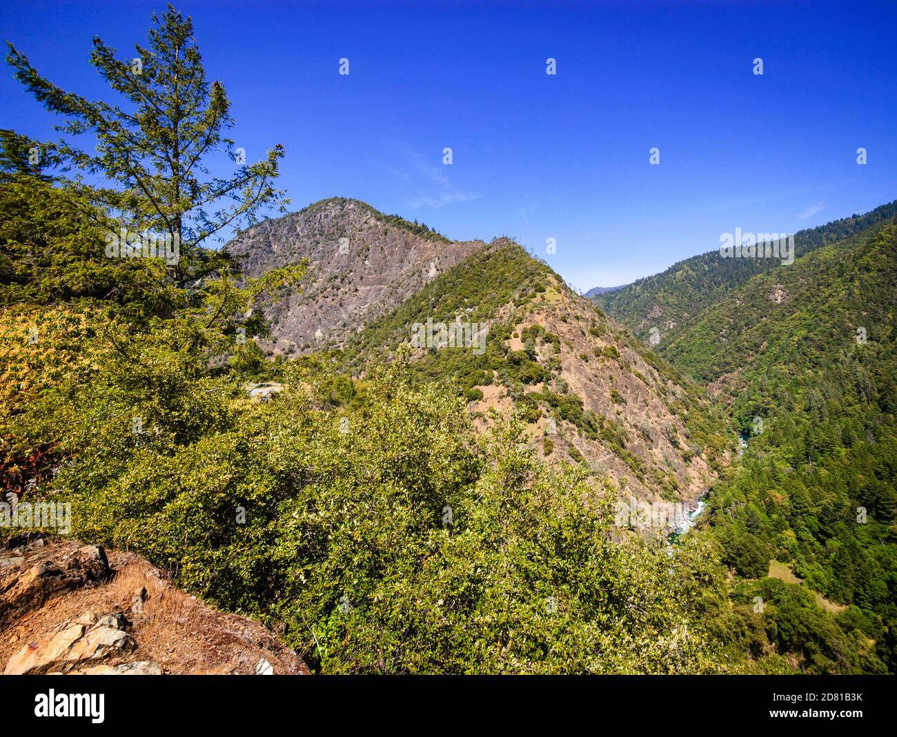 Six Rivers National Forest (Bigfoot Scenic Byway Stock Photo - Alamy